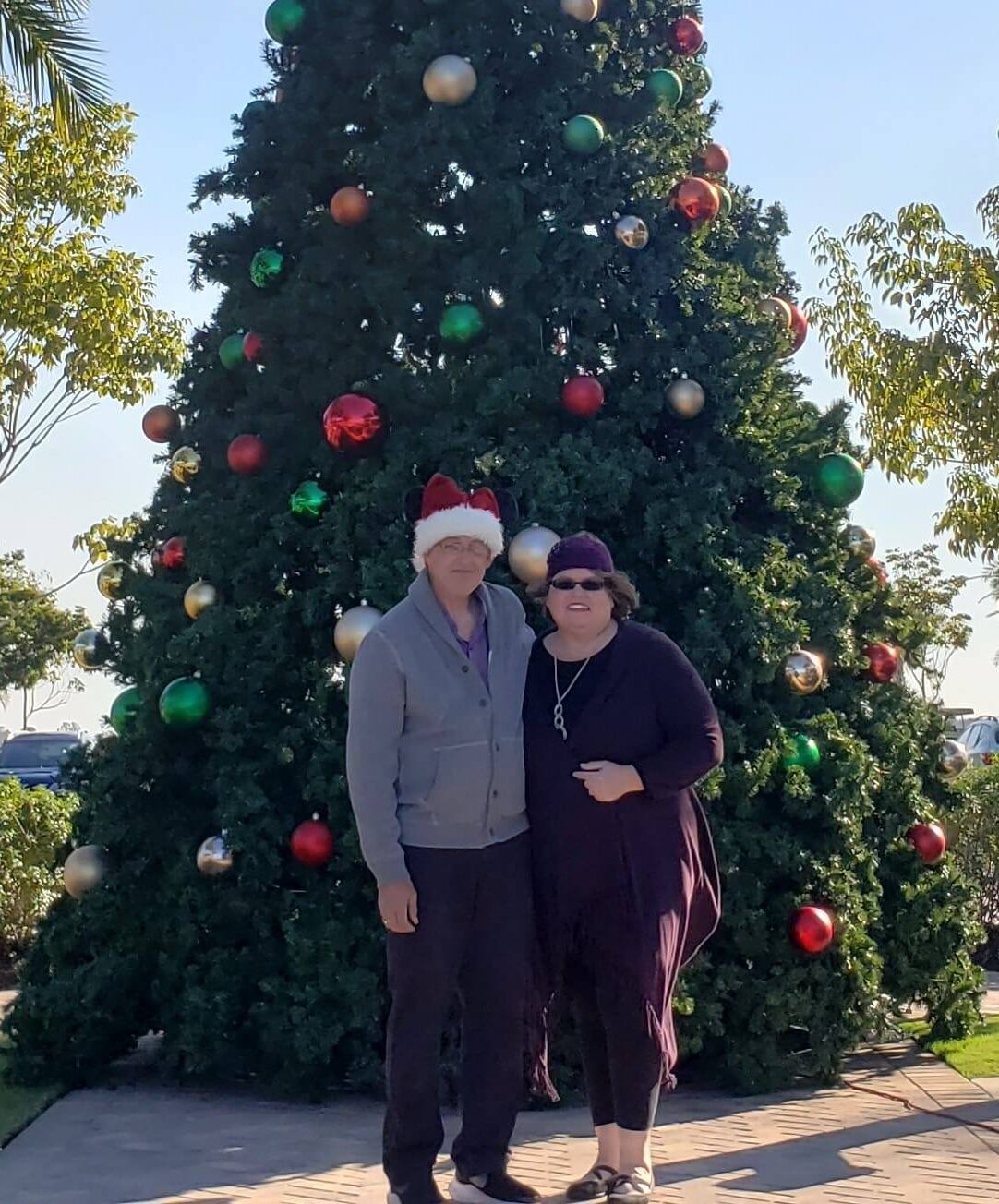 The Plan To Save Christmas 2020 The Health Chocoholic